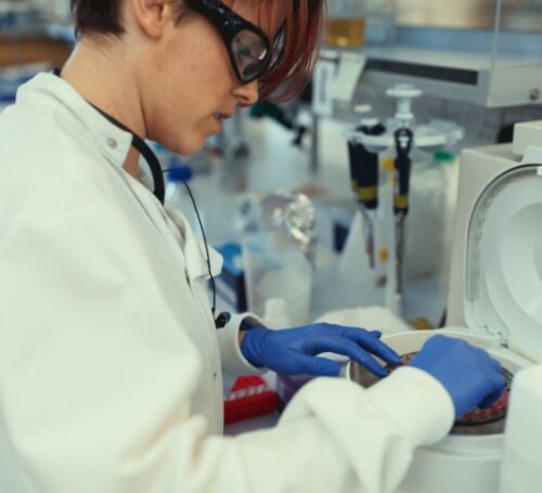 About CLAST | College of Laboratory Animal science and technology