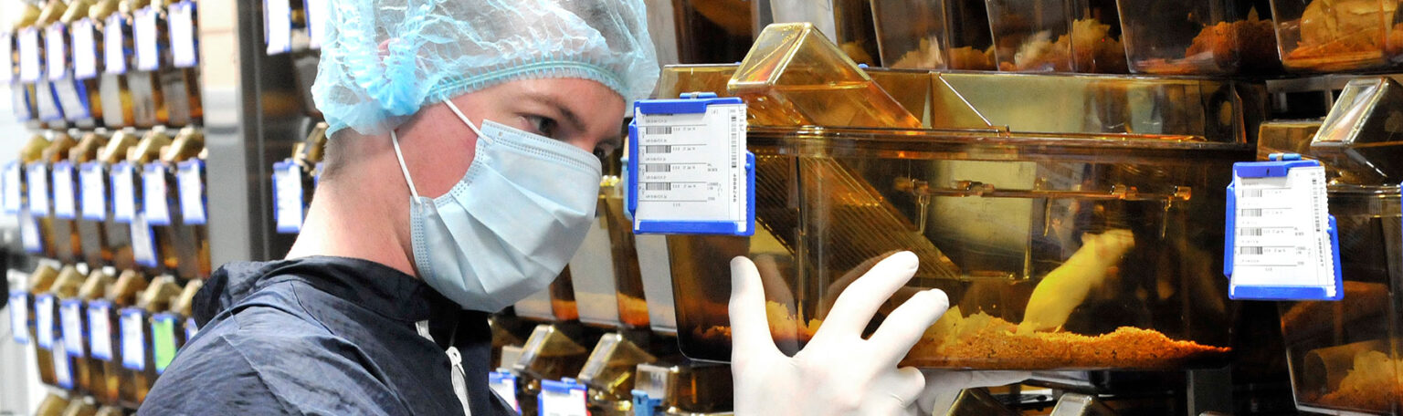 Pain and distress in laboratory animals | CLAST