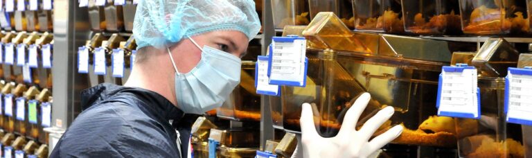 Application of the Animals (Scientific Procedures) Act | CLAST